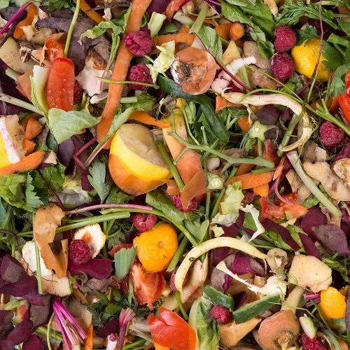 Yellowstone National Park Sustainability Audits | APTIM