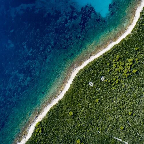 Resilience & Infrastructure and Environmental & Sustainability ...